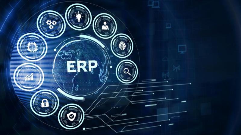 What Is Enterprise Software System